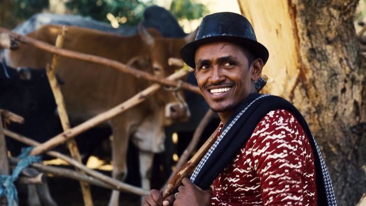 Haacaaluu Hundeessaa: Artistii 'Oromoof qaalii' walleen qabsaa’e