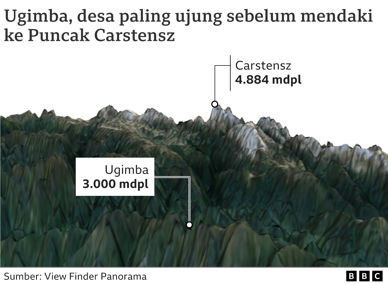Es abadi Papua yang ‘tidak bisa diselamatkan’, salju terakhir di puncak Jayawijaya