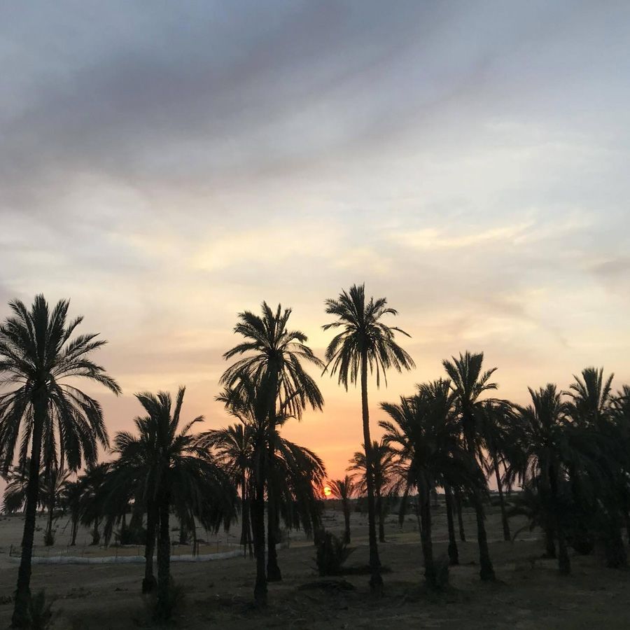 The end of Gaza's most beautiful neighbourhood