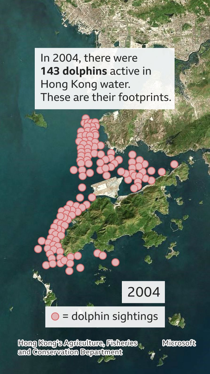 Are Hong Kong’s pink dolphins about to disappear?