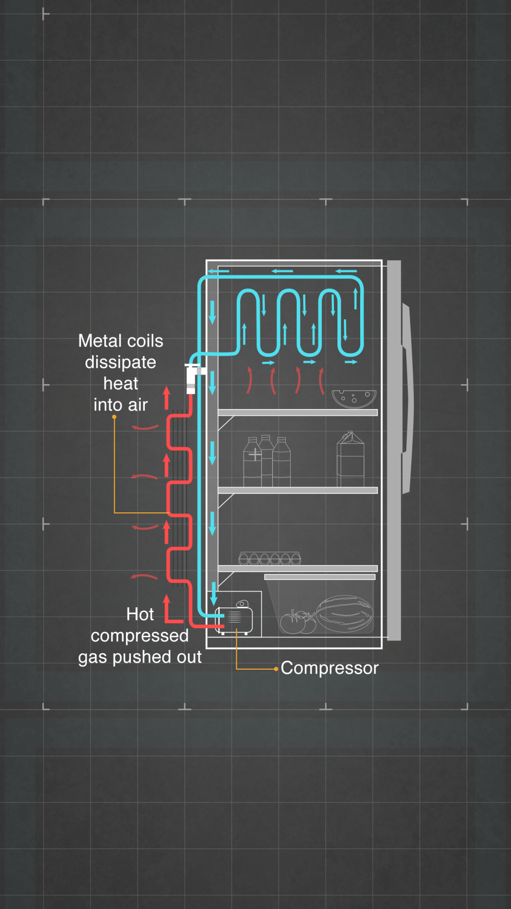 The danger in our homes?