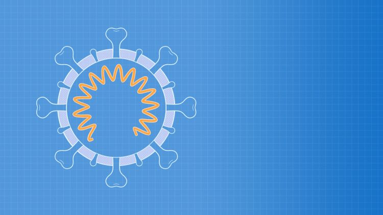 The anatomy of a pandemic