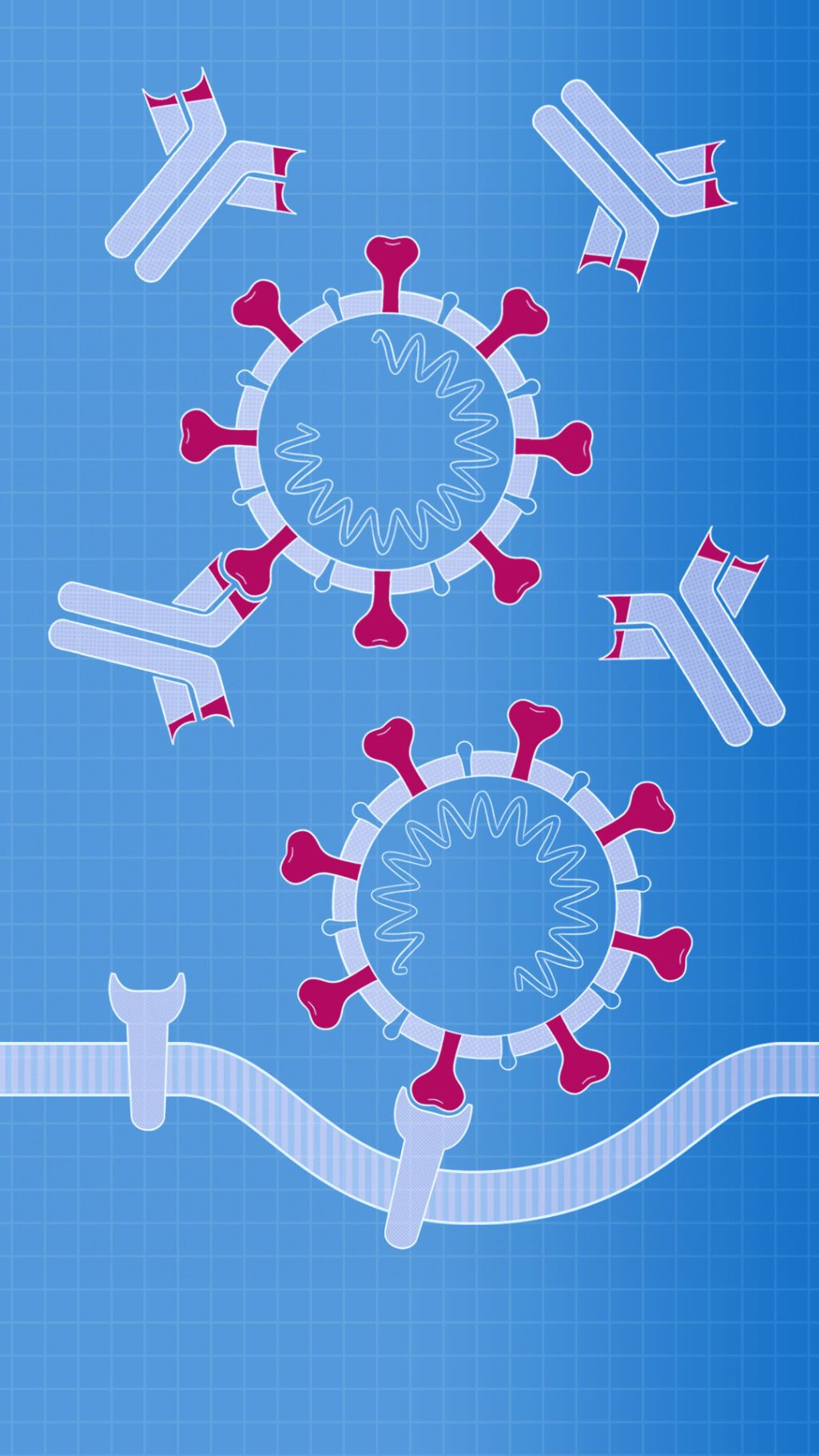 The anatomy of a pandemic