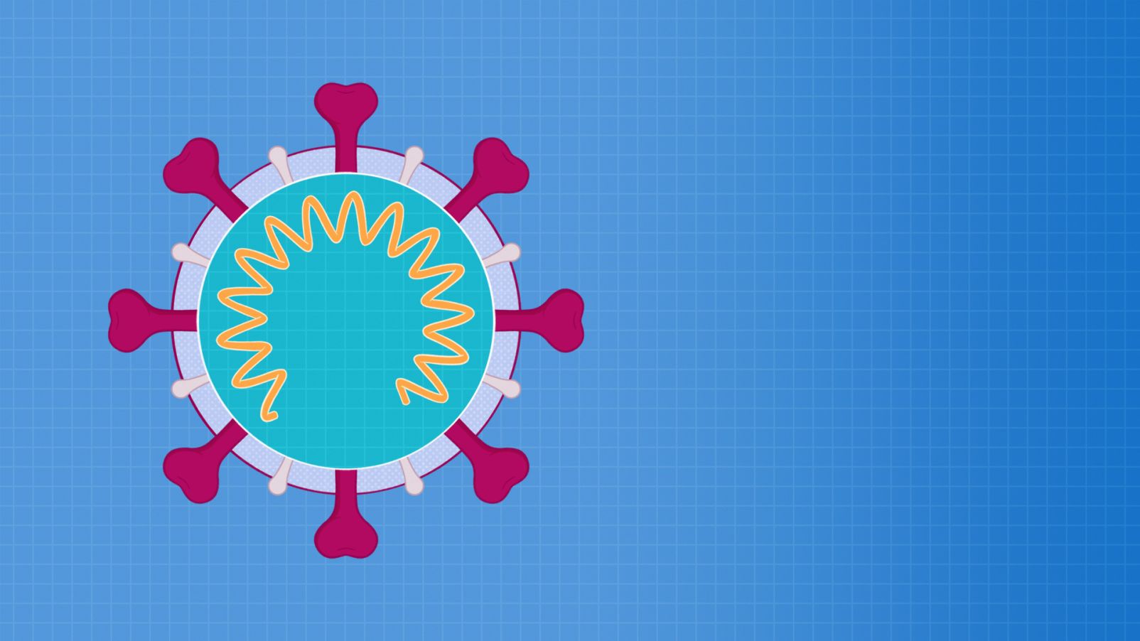 The anatomy of a pandemic