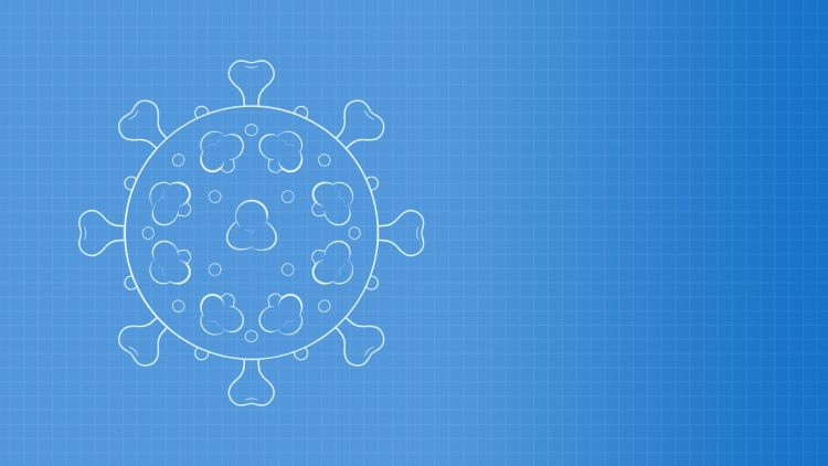 The anatomy of a pandemic