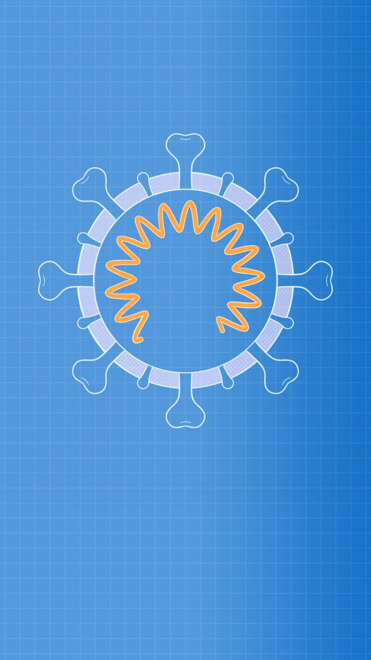 The anatomy of a pandemic