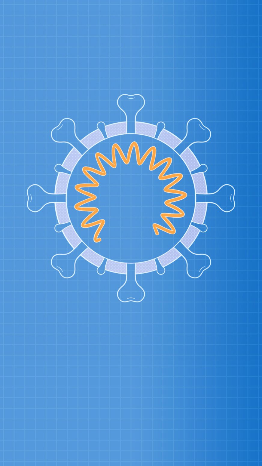 The anatomy of a pandemic