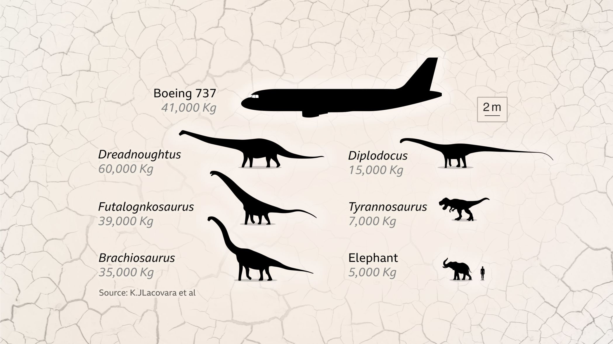 Mission Jurassic: Searching for dinosaur bones