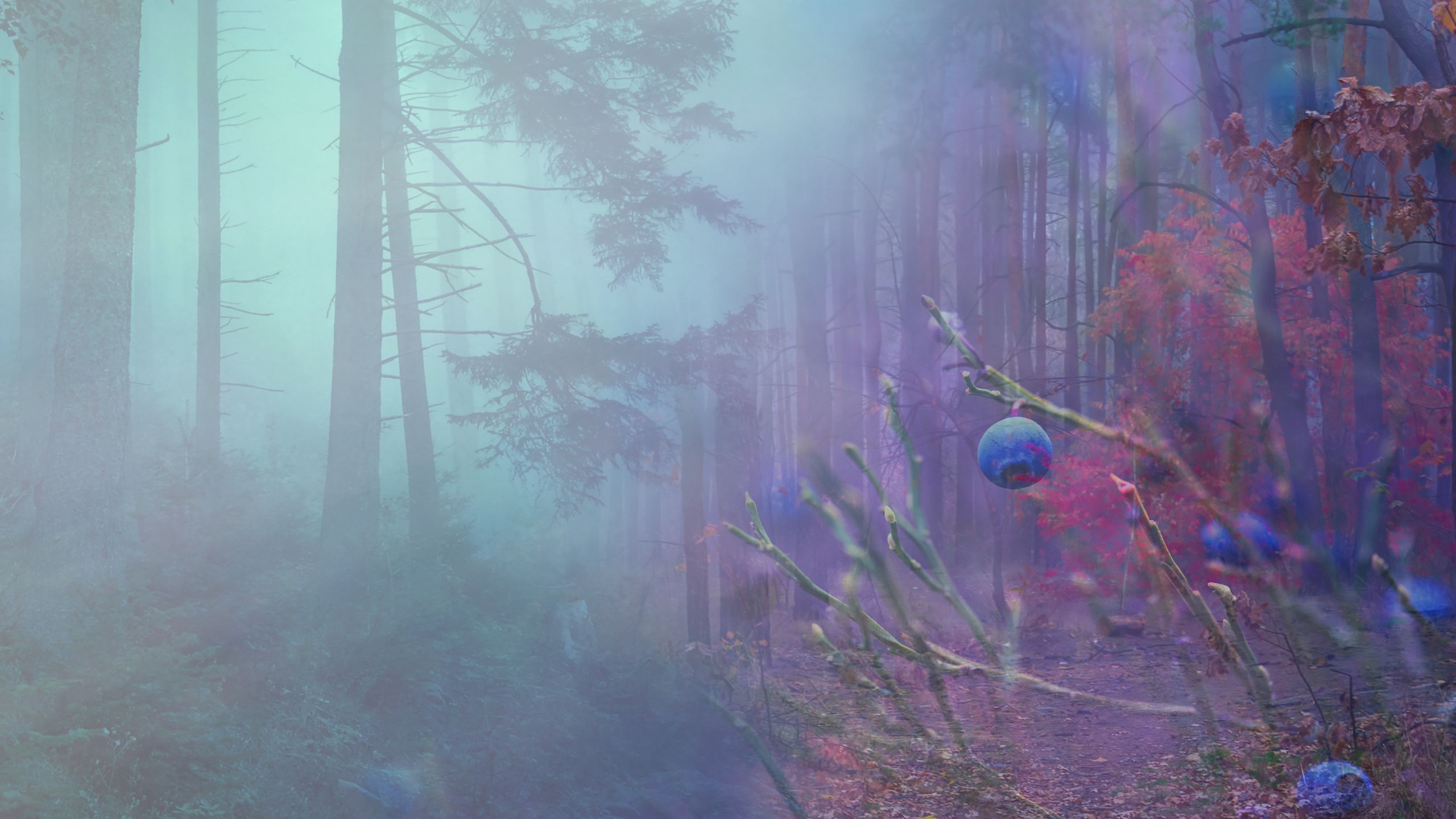 Jamie Phillips conducts BBC NOW