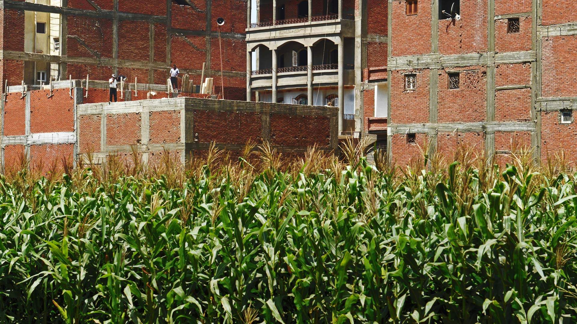 Death of the Nile - BBC News