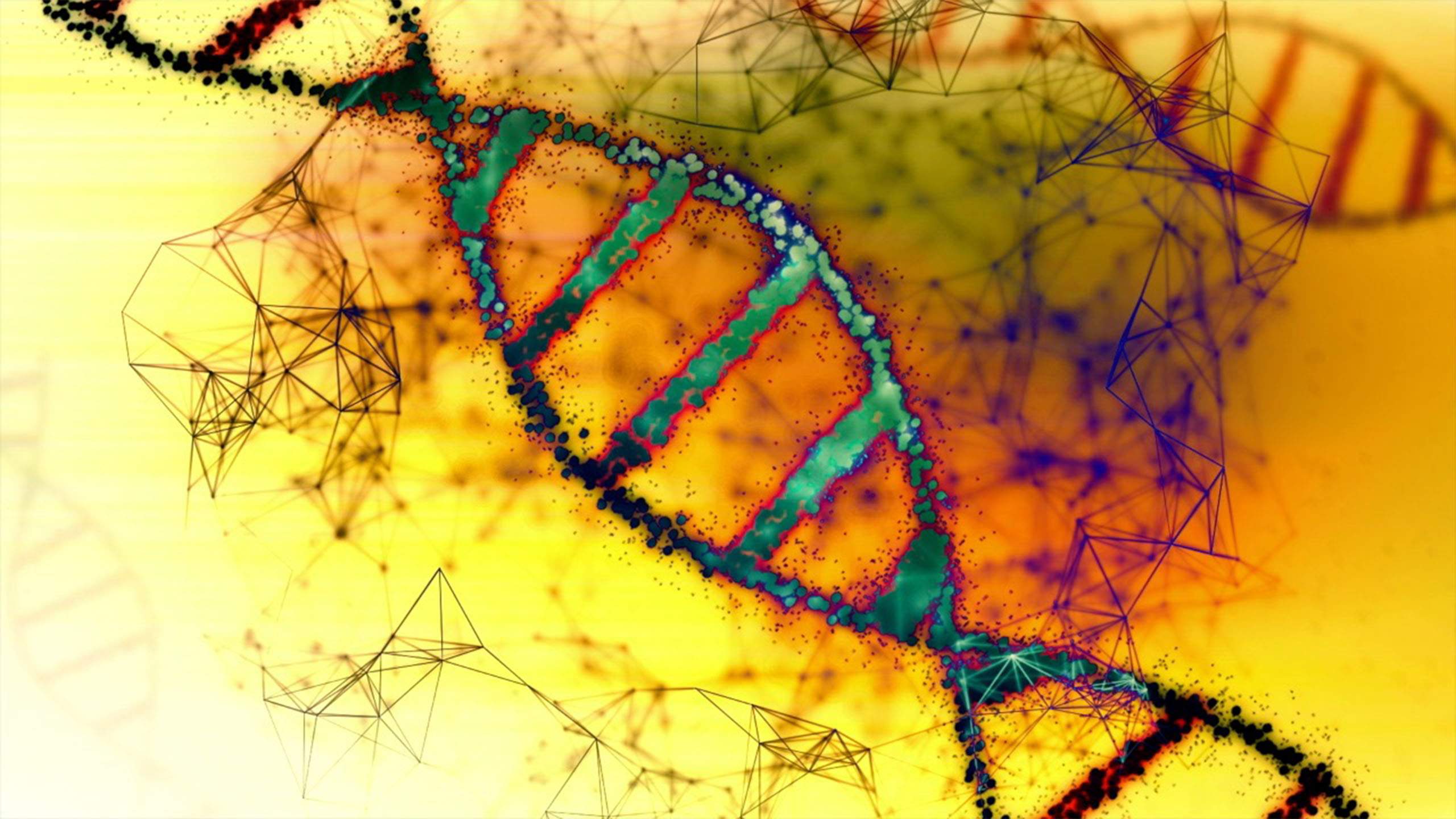 The Disruptors - What will the doctor order? - BBC News