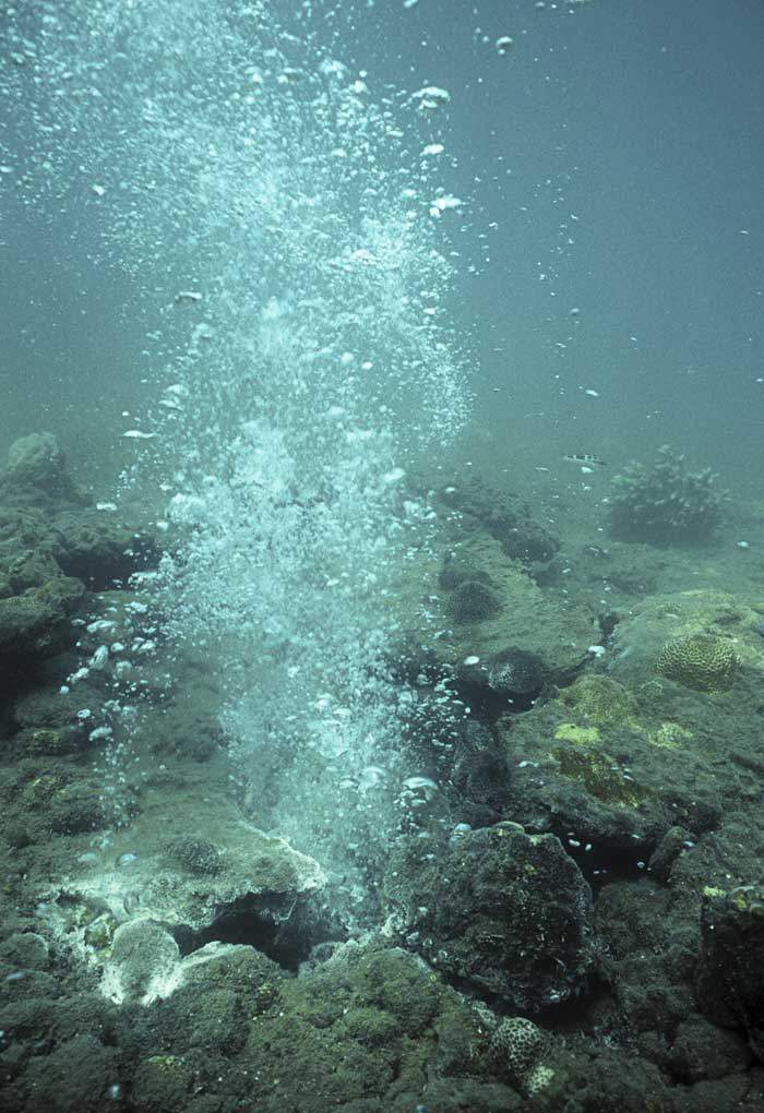 The secret on the ocean floor - BBC News