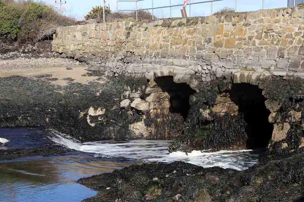 Jacob Cockle - BBC News