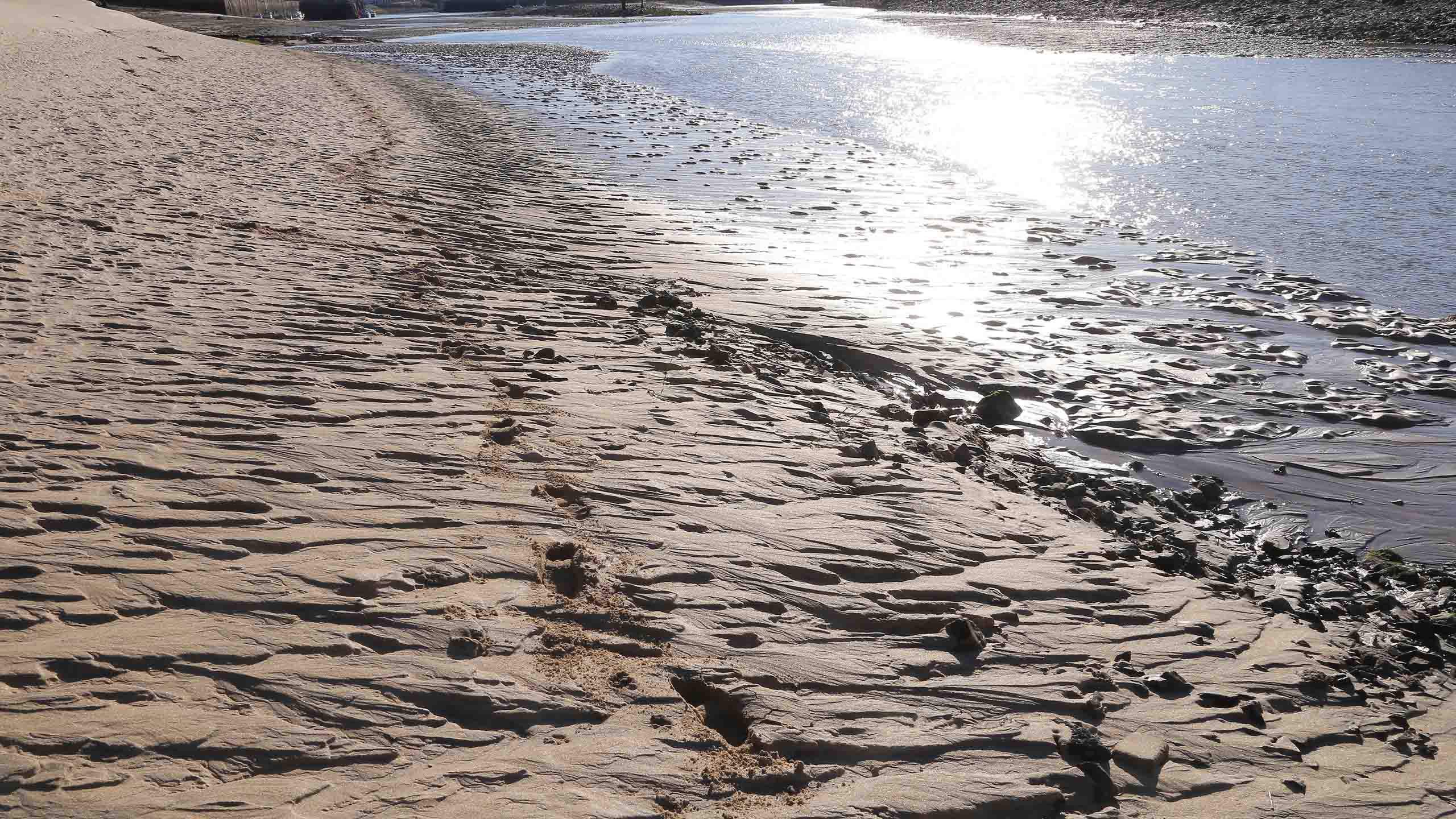 Jacob Cockle - BBC News