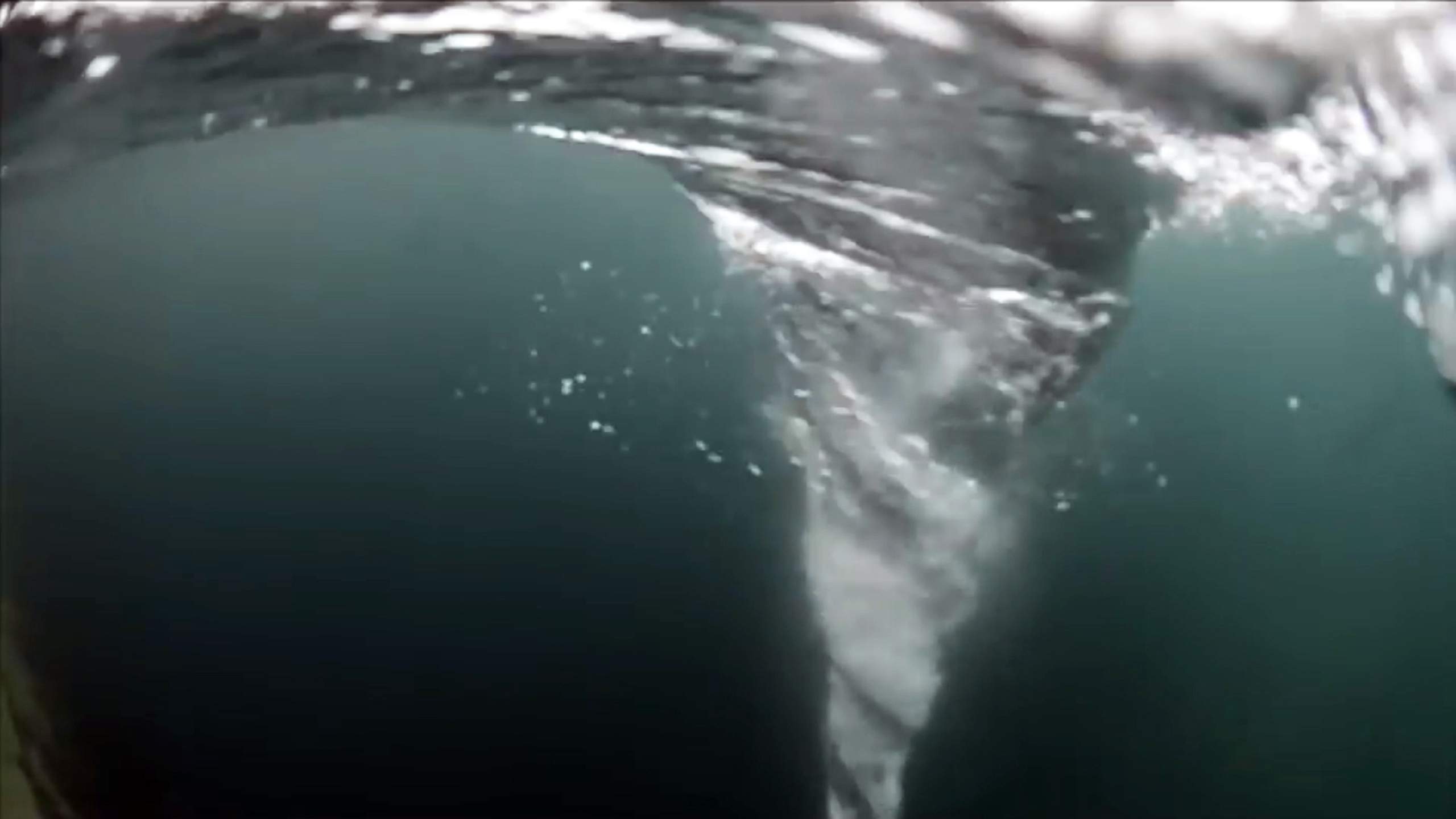 Jacob Cockle - BBC News