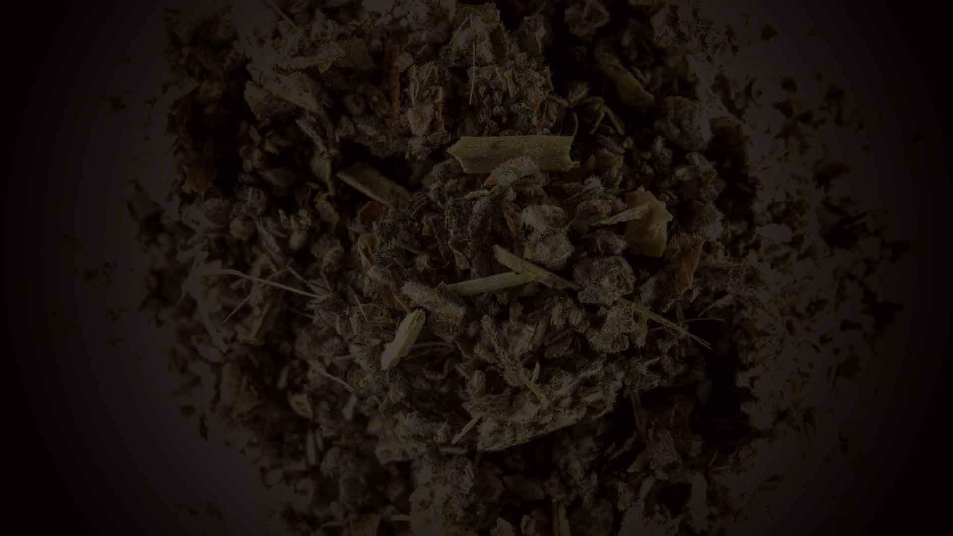 Lost in a system - BBC News