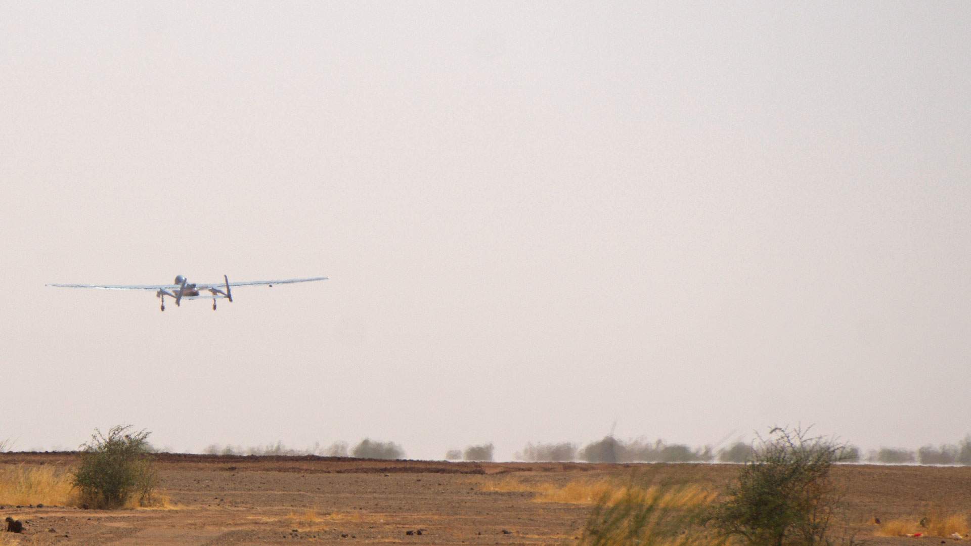 The war in the desert - BBC News