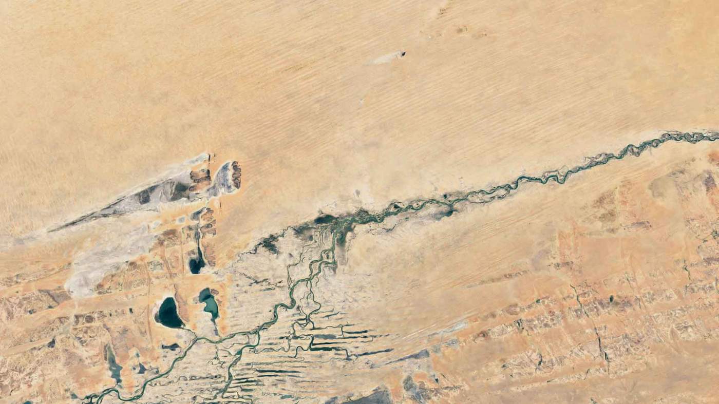 The war in the desert - BBC News