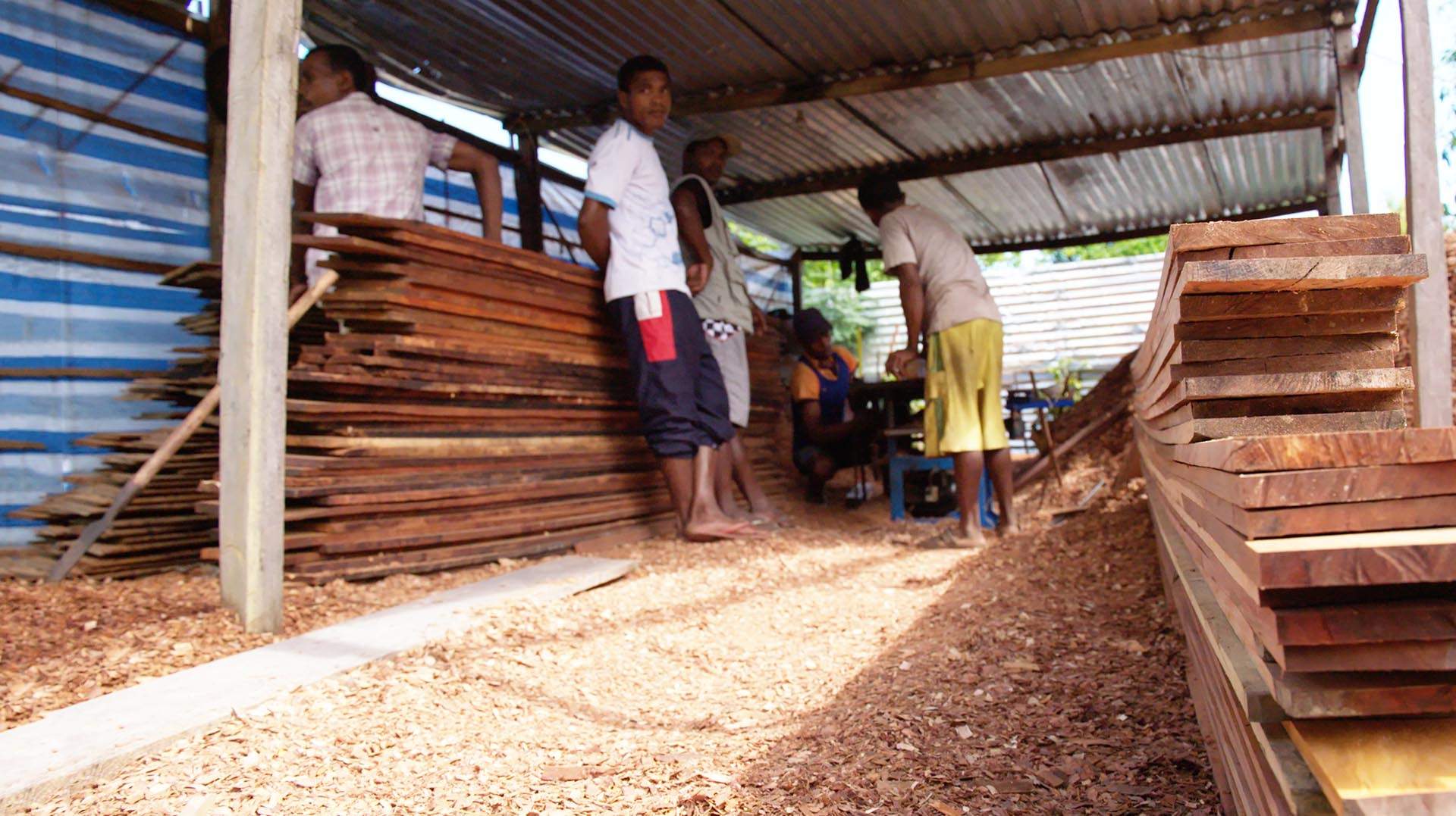Fighting the vanilla thieves of Madagascar - BBC News