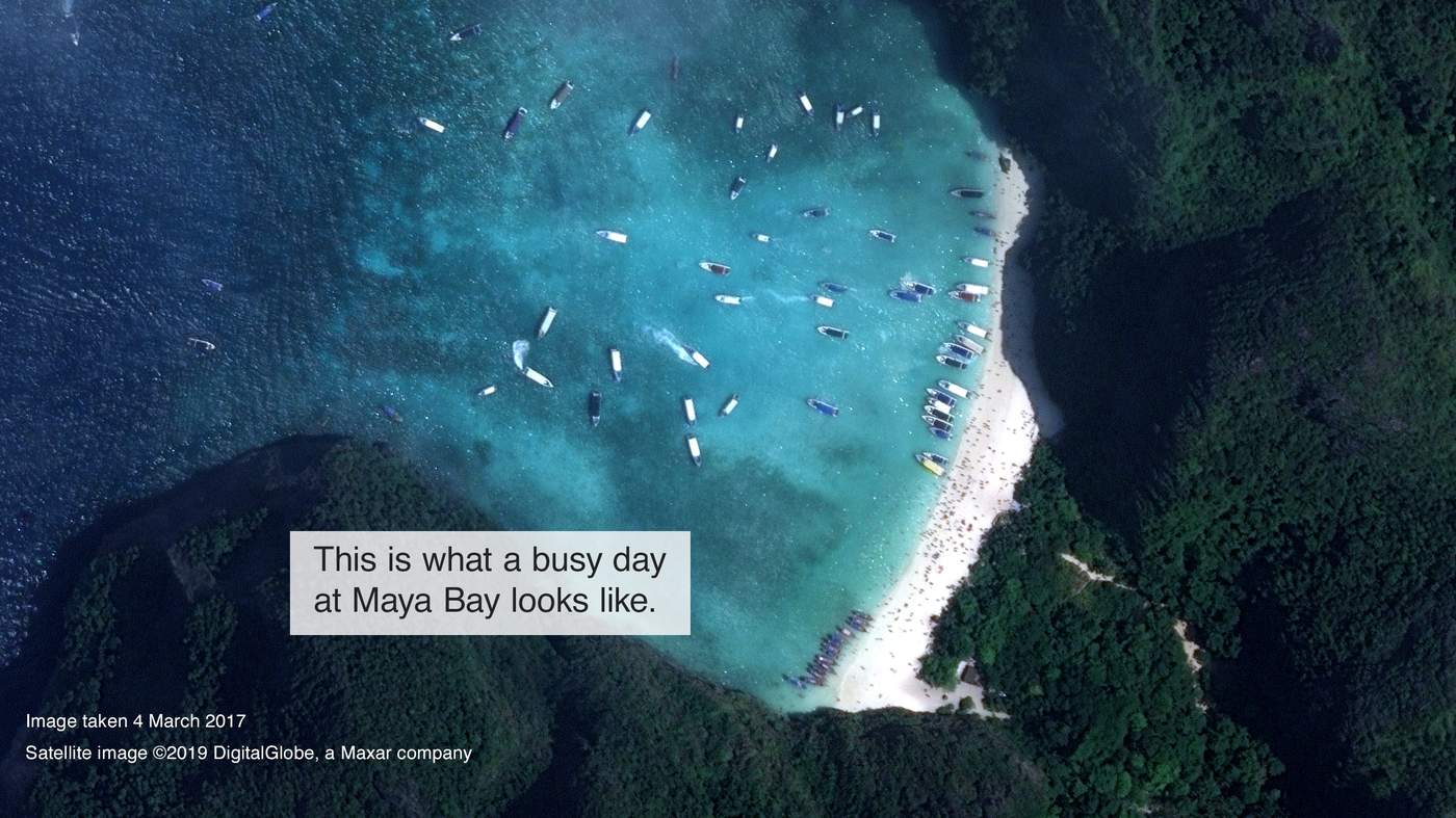 Maya Bay Shark