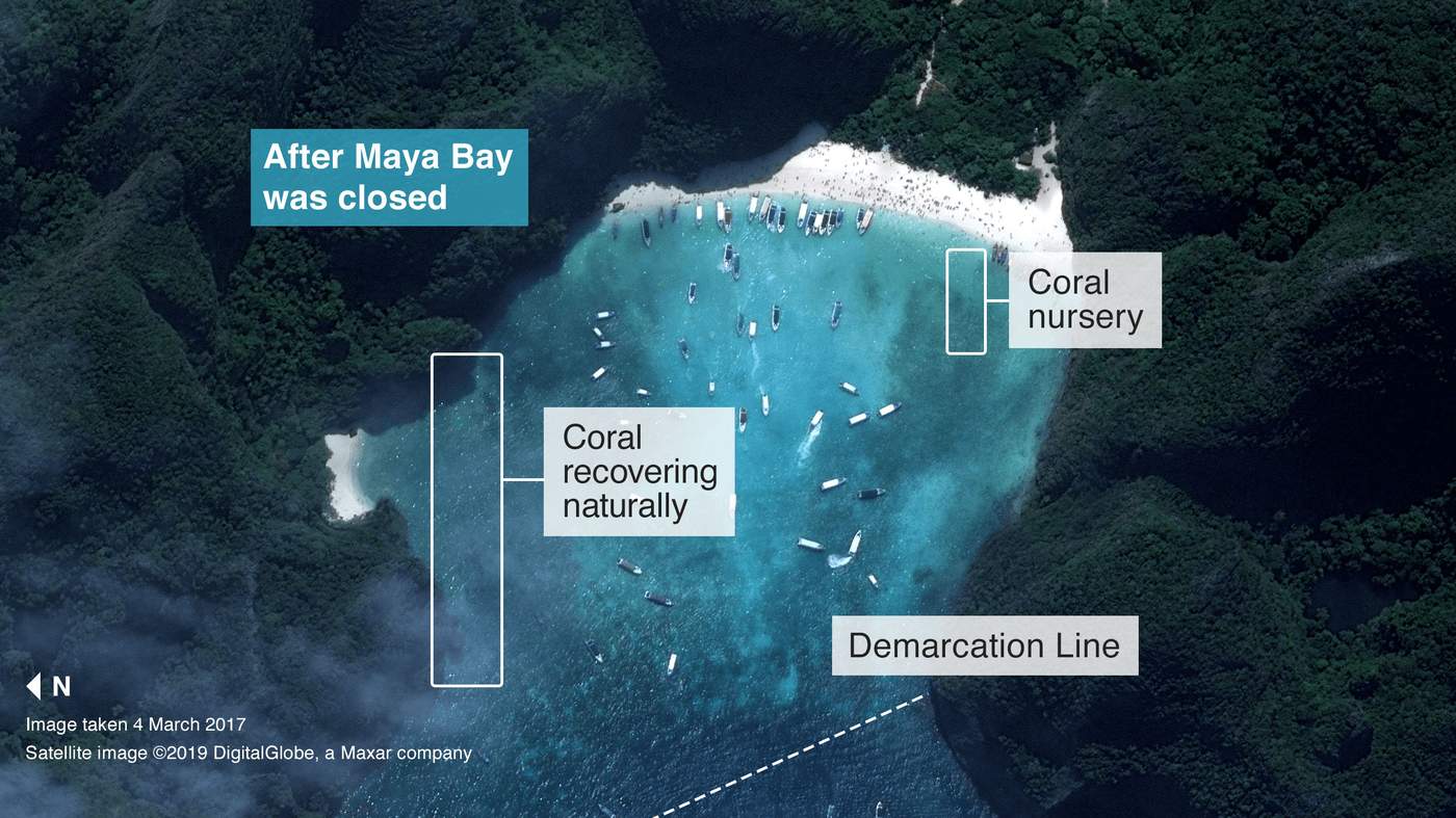 Maya Bay Map