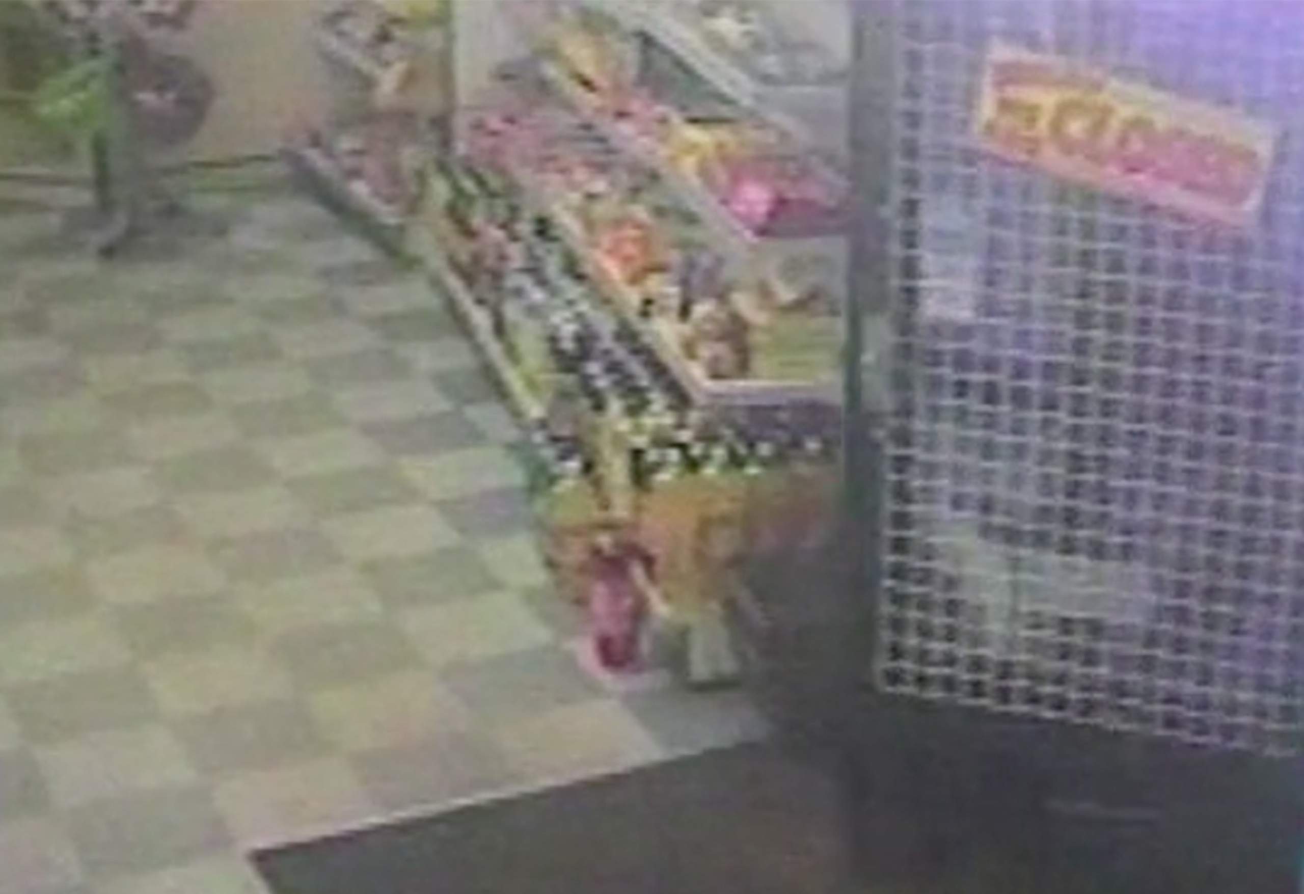 Gun No. 6: The untold story of Britain's deadliest illegal firearm ...