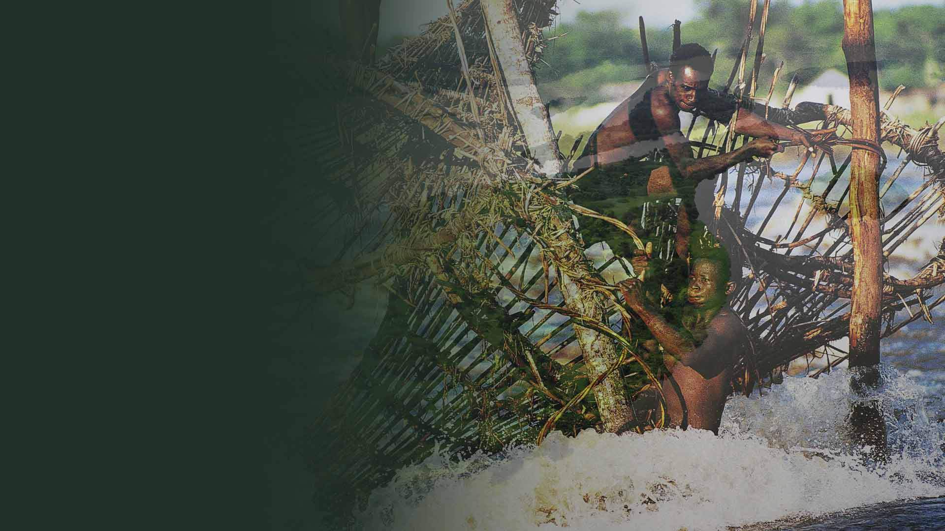 Congo - BBC News