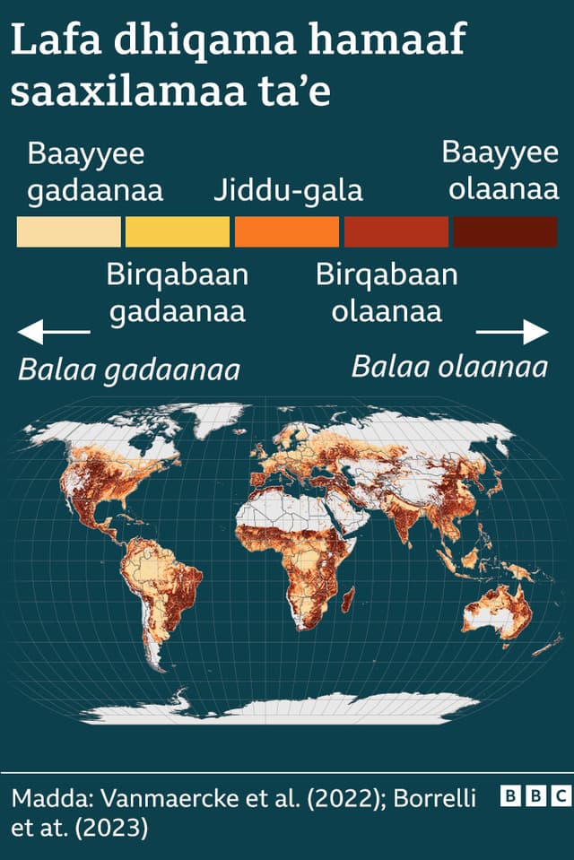 Addunyaa irratti hallayyaan baayyeen gandoota guutuu liqimsaa jiru ...