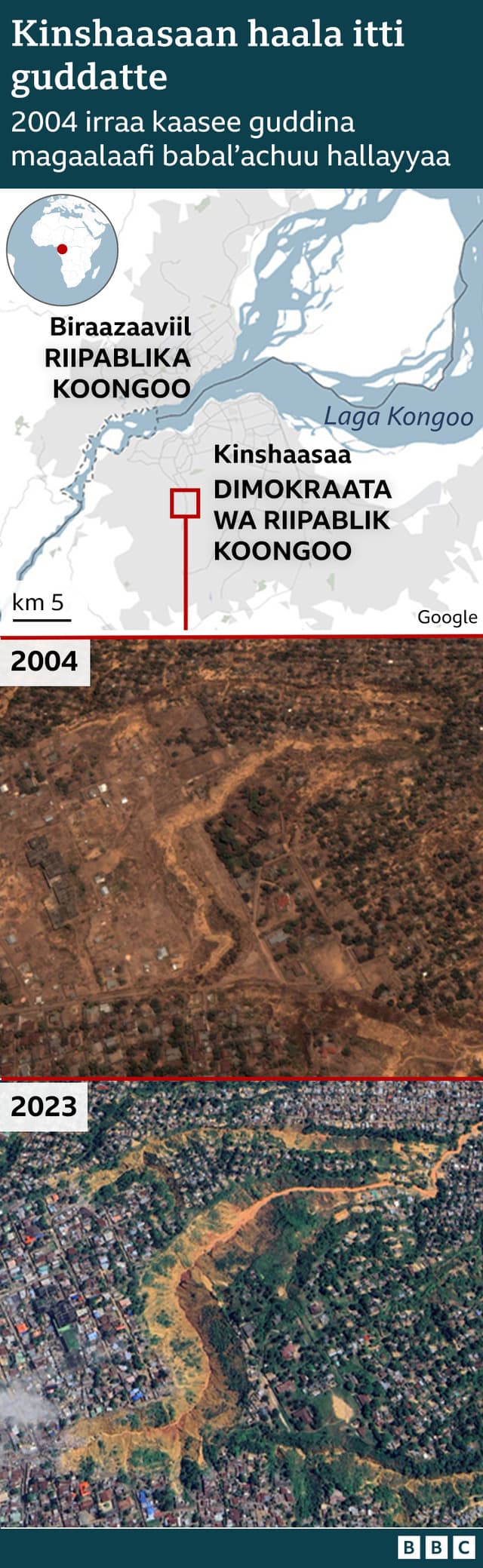 Addunyaa irratti hallayyaan baayyeen gandoota guutuu liqimsaa jiru ...