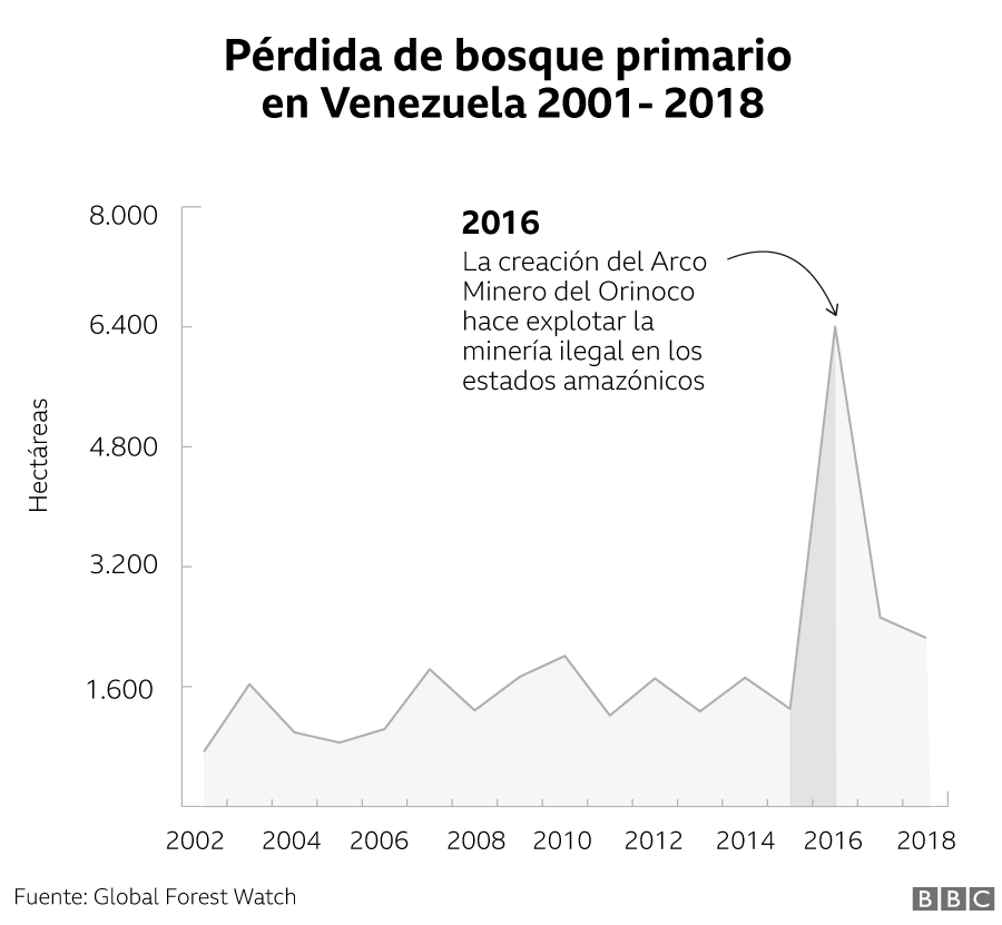 Destrucción del Amazonas: las principales amenazas para la mayor selva ...